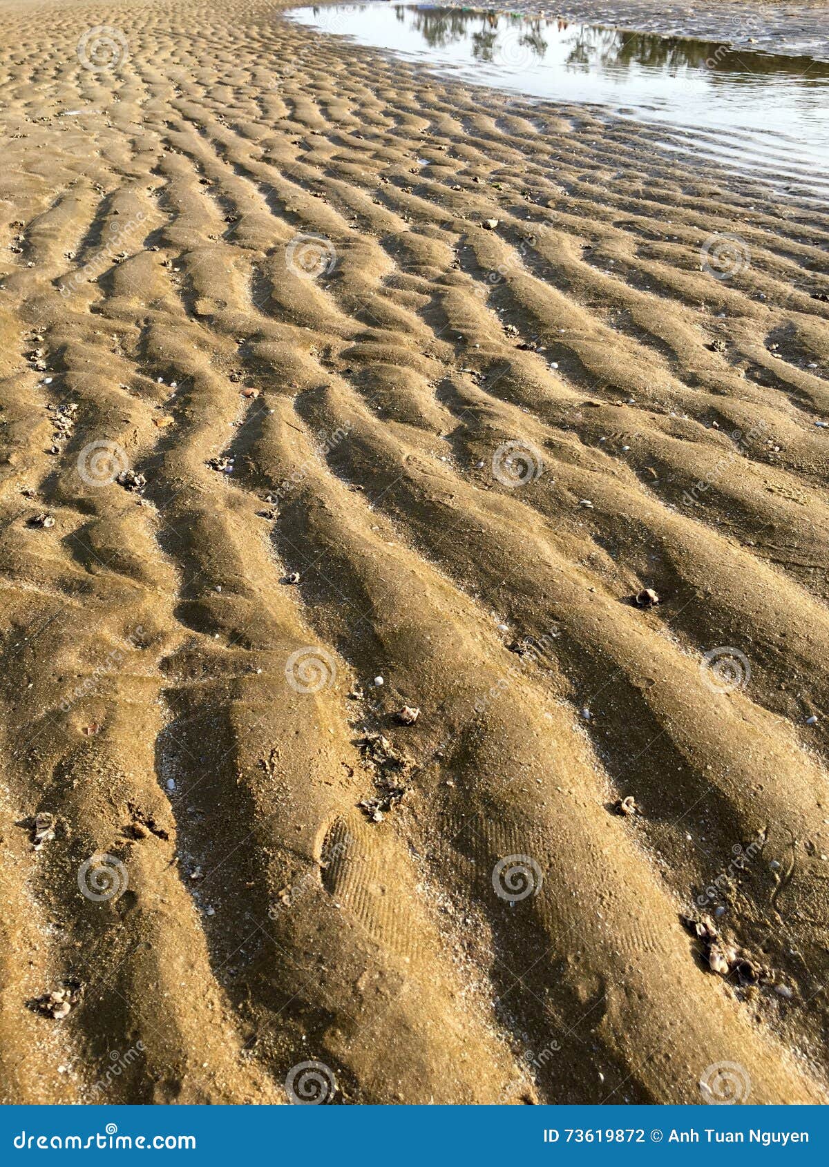 Rough sand stock photo. Image of sand, tides, rough, lines - 73619872