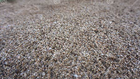 Rough Sand Texture for Background or Illustration Stock Image - Image ...