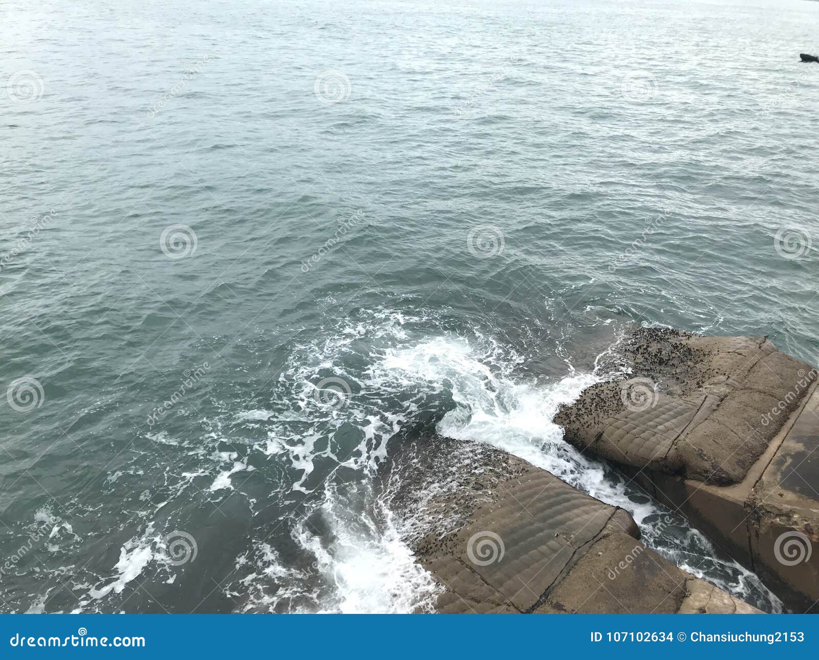 Rough seas on the rock stock photo. Image of southern - 107102634