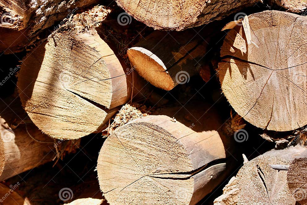 Rough Stack of Logs Close Up Stock Photo - Image of forestry, logs ...