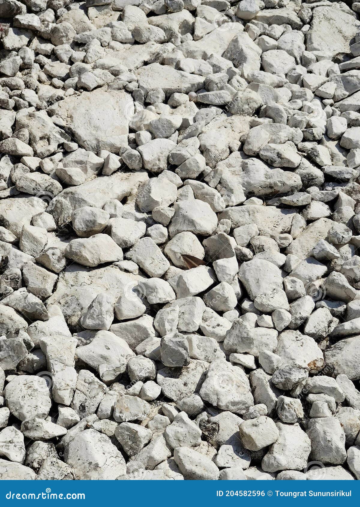 Rough Stone Pathway with White Color. Stock Photo - Image of nature ...