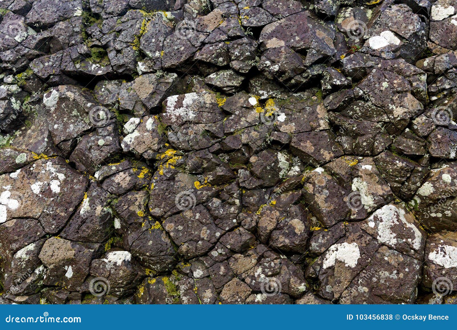 Rough stone texture stock photo. Image of close, lifeless - 103456838