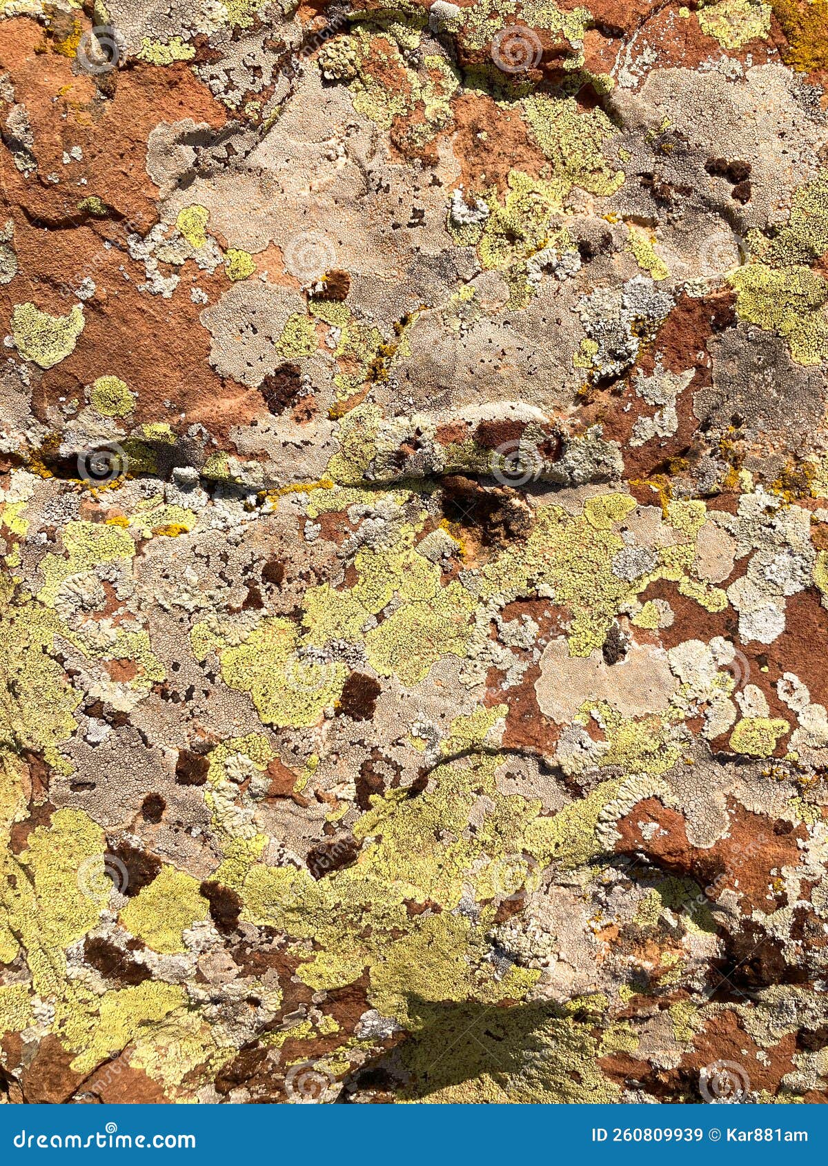 Rough Stone Texture, Stone Surfaces Seamless Texture Stock Image ...