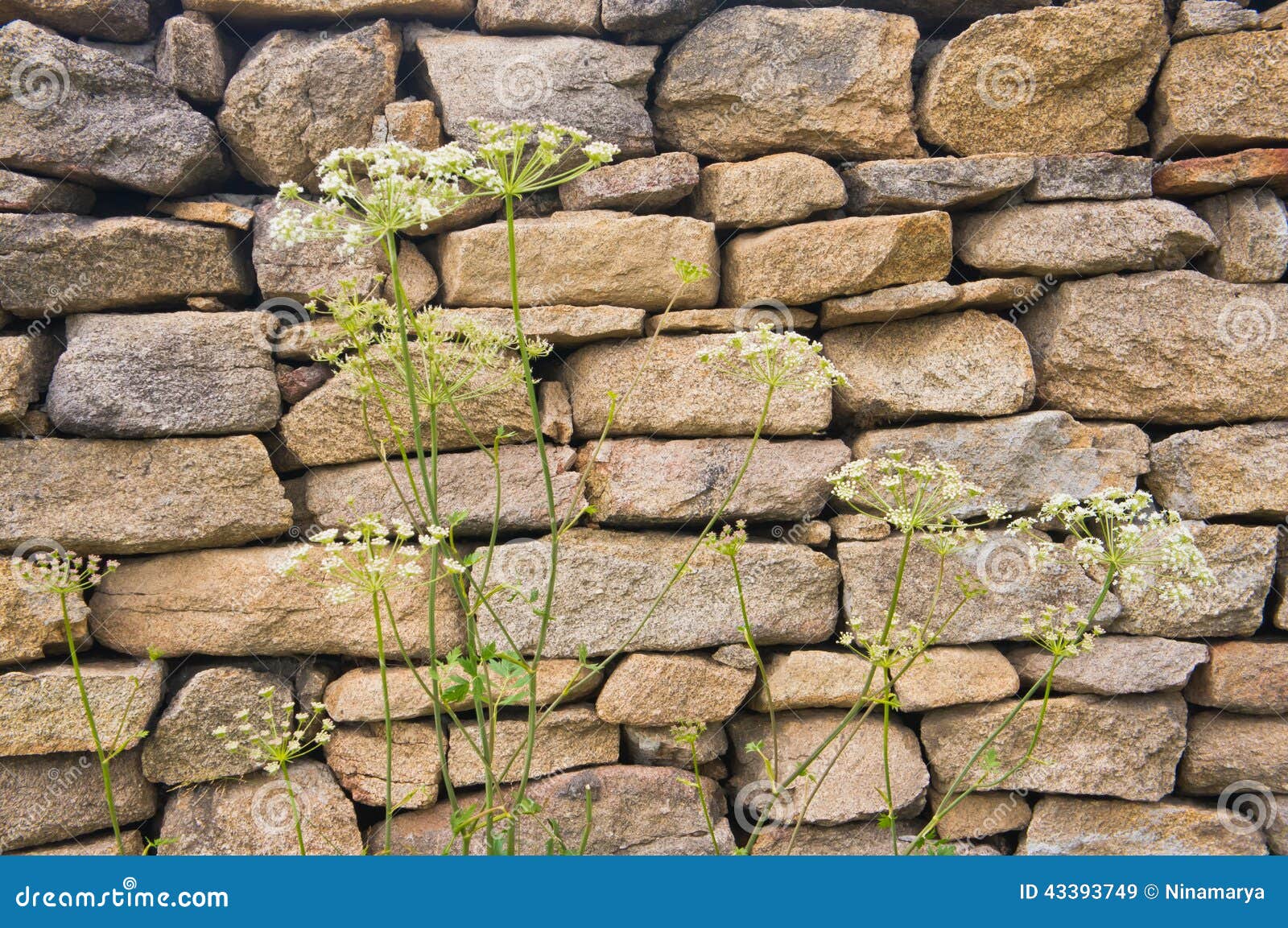Rough stone wall stock image. Image of architecture, wall - 43393749