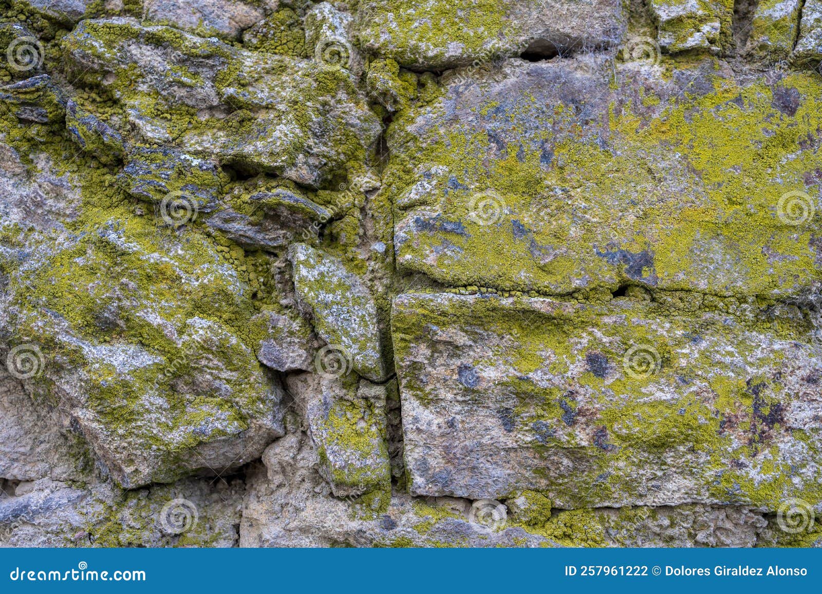 Rough stone wall structure stock photo. Image of closeup - 257961222