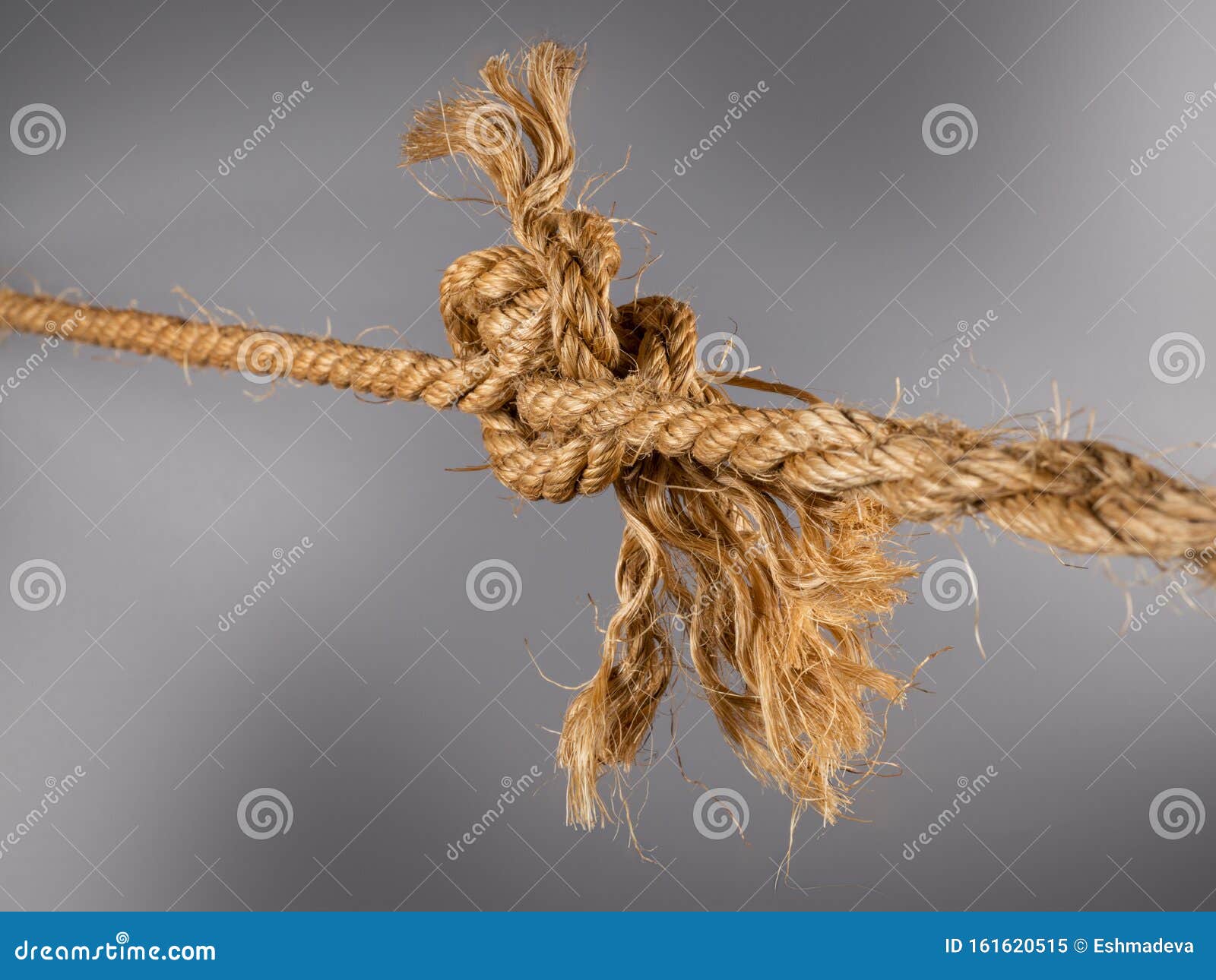 Rough Strong Ropes Connected by Large Knot on Gray Background Stock ...