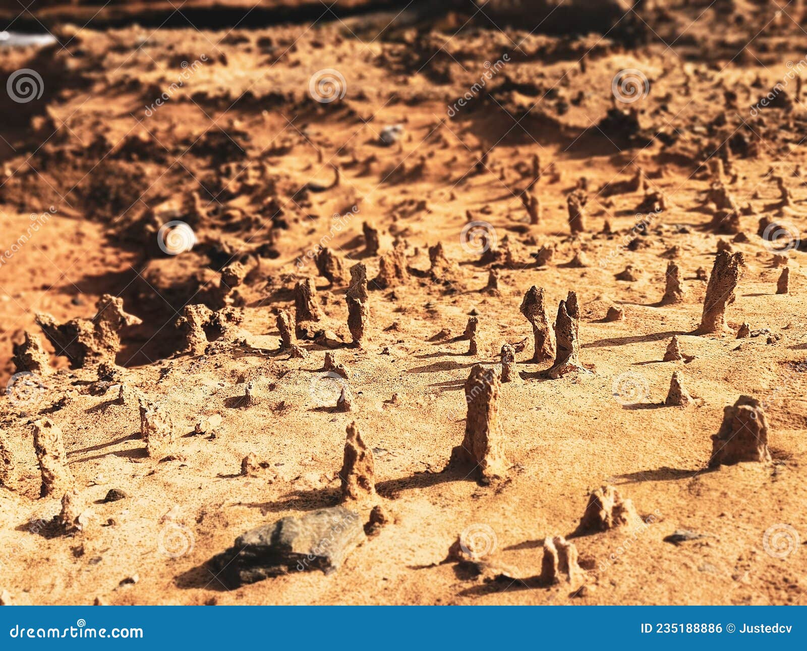 Rough Surface of Geologic Formations of Sand Stock Photo - Image of ...