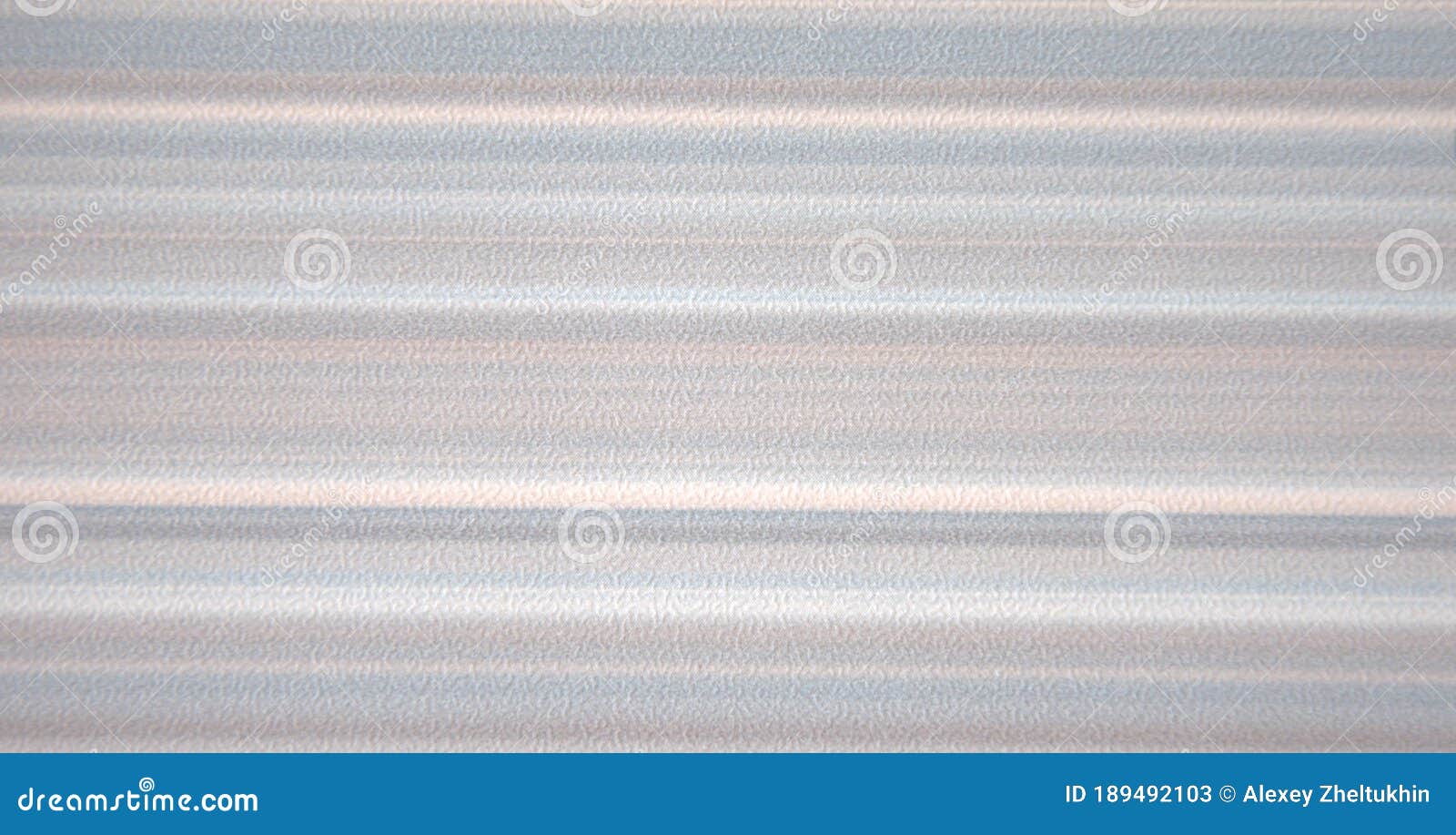 Rough and Rough Surface of a Light Ash Tree with a Natural Close-up ...