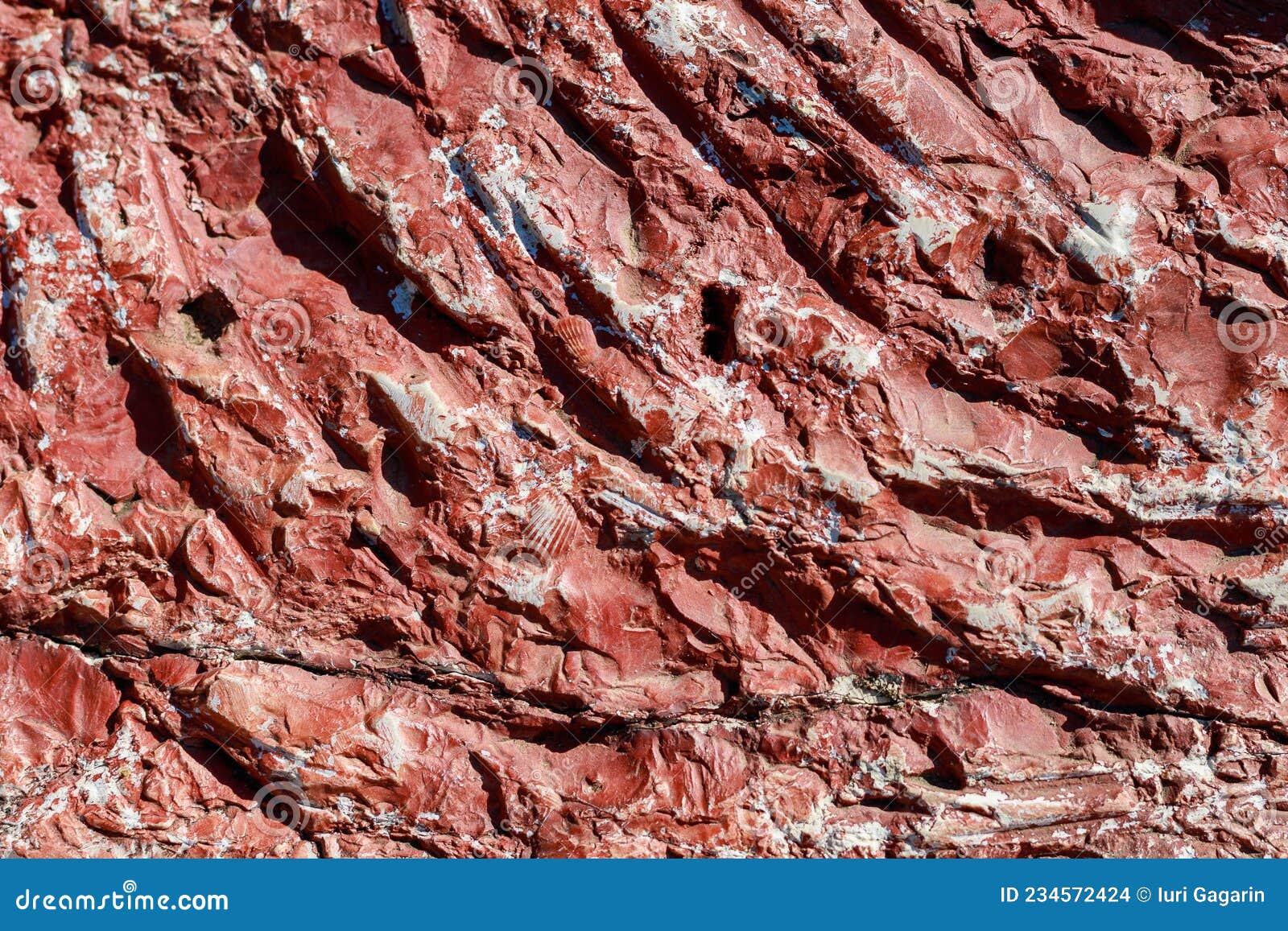 Rough Surface of Natural Stone. Textured Background. Blank for Design ...