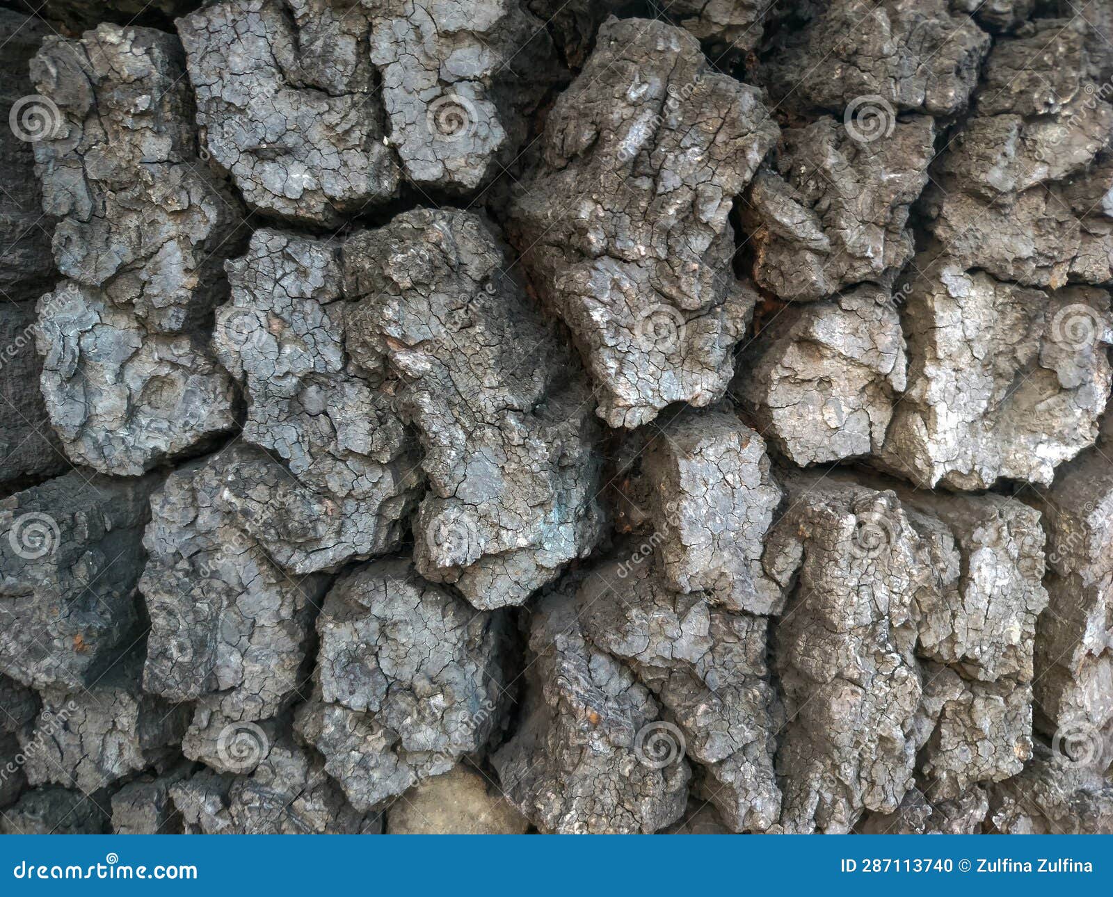 Rough Surface Old Tree Texture Background-Forrest Tree Stock Photo ...