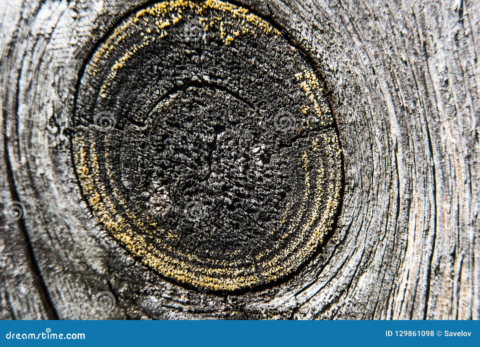 The Rough Surface of the Tree Knot Stock Photo - Image of color, retro ...