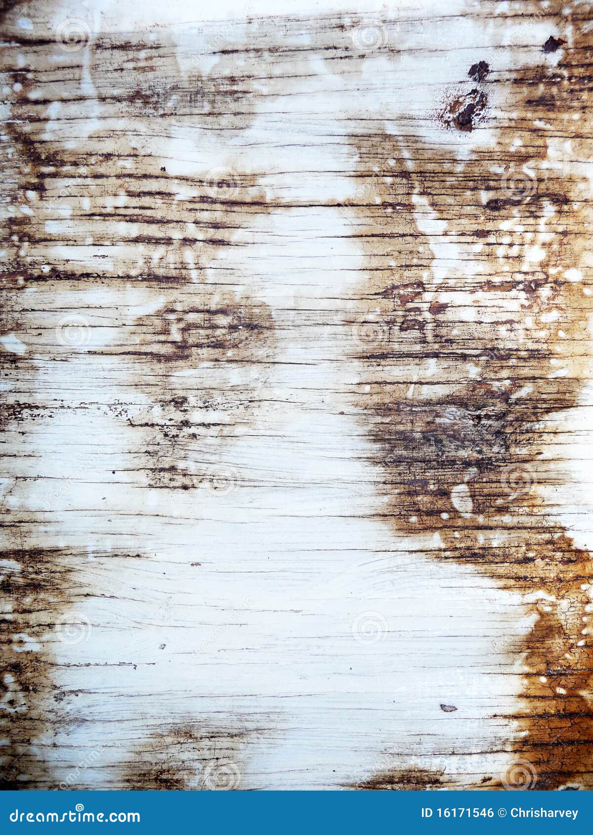 Rough Texture stock photo. Image of organic, cracks, texture - 16171546