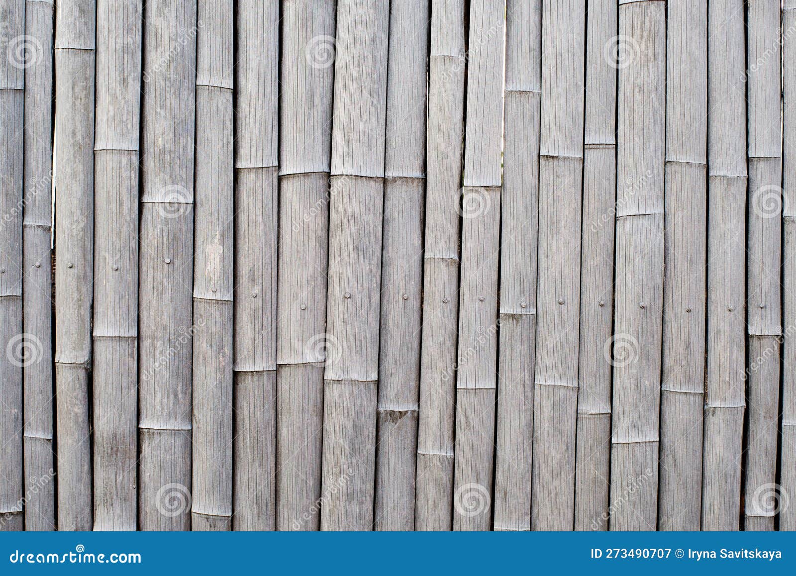 Rough Texture Background from Bamboo Stalks. the Use of Bamboo Trunks ...