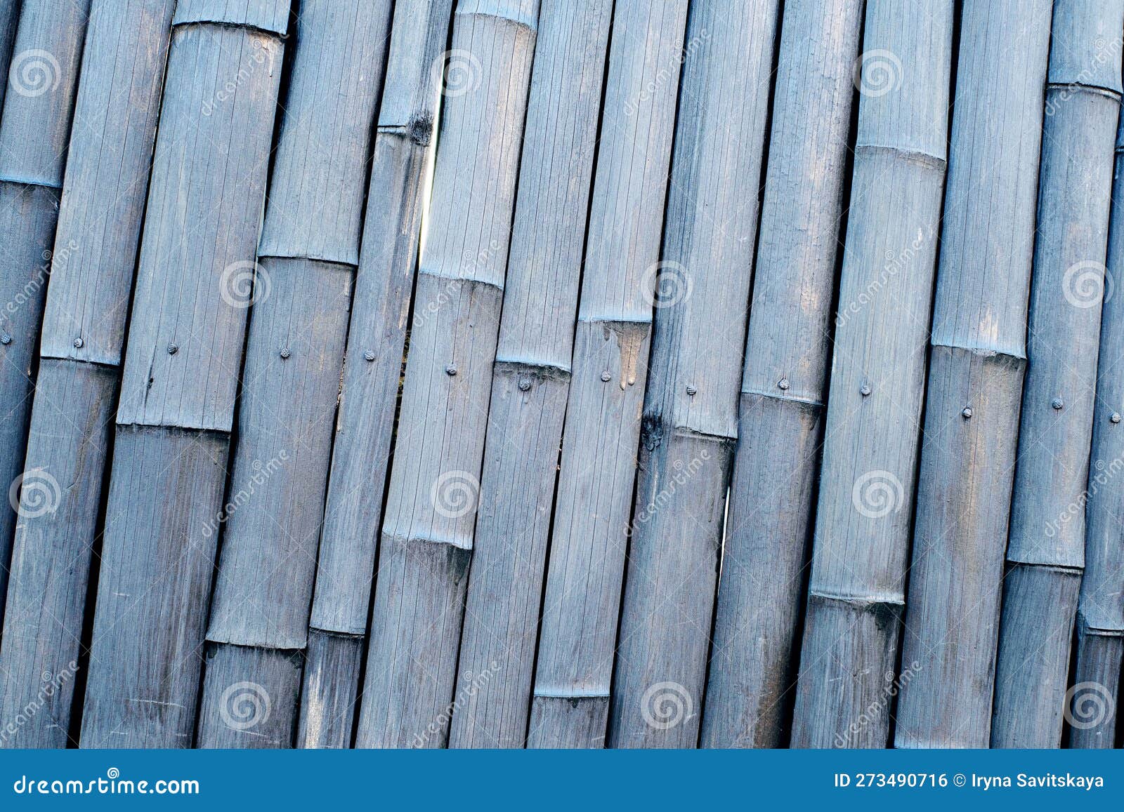 Rough Texture Background from Bamboo Stalks. the Use of Bamboo Trunks ...