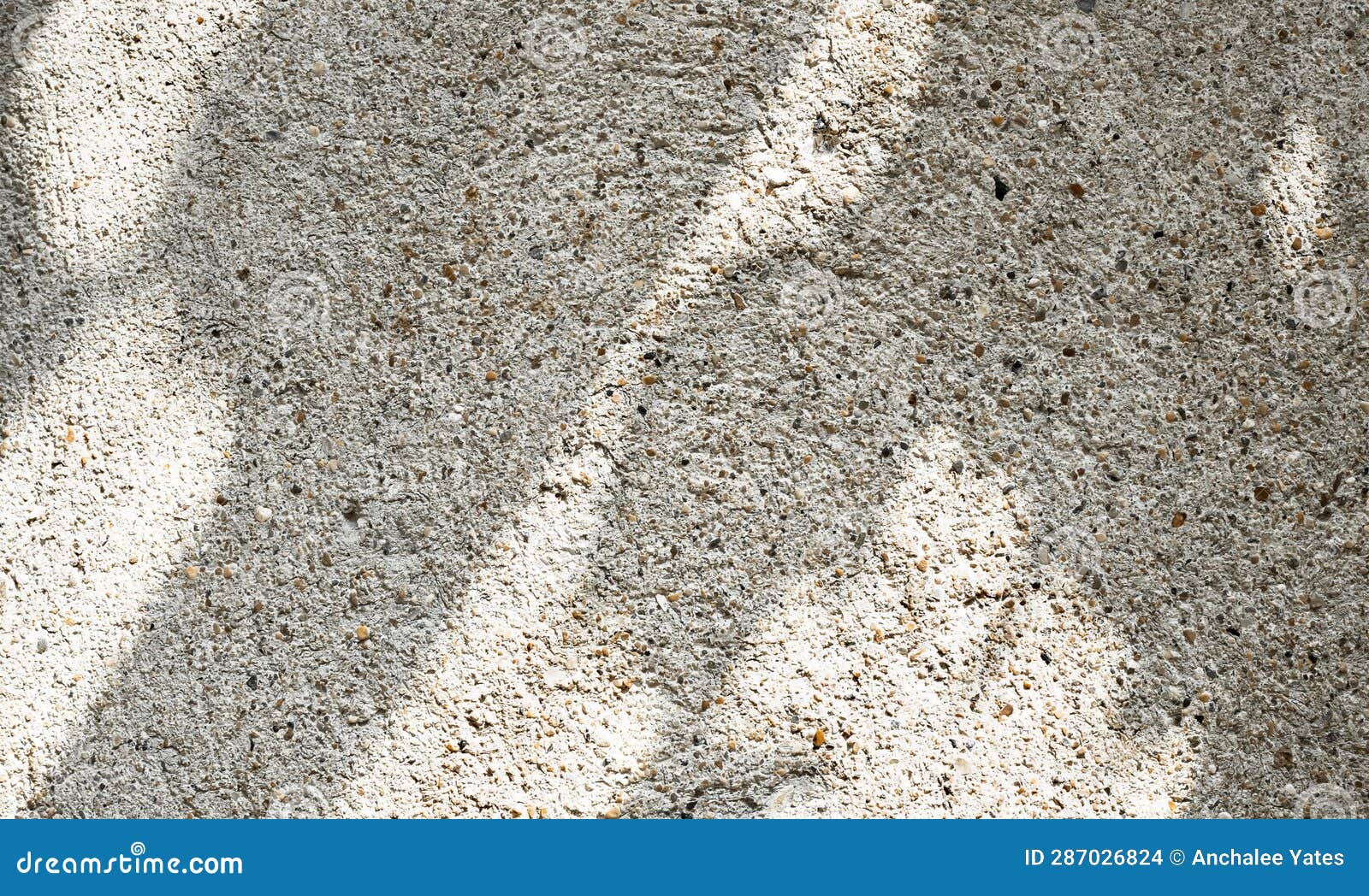 Rough Texture Cement Wall With Shadow Leaves And Sunlight Effect On ...