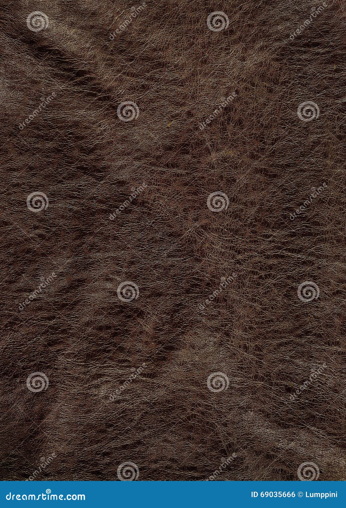 Rough Texture Dark Skin with Wrinkles. Stock Photo - Image of structure ...