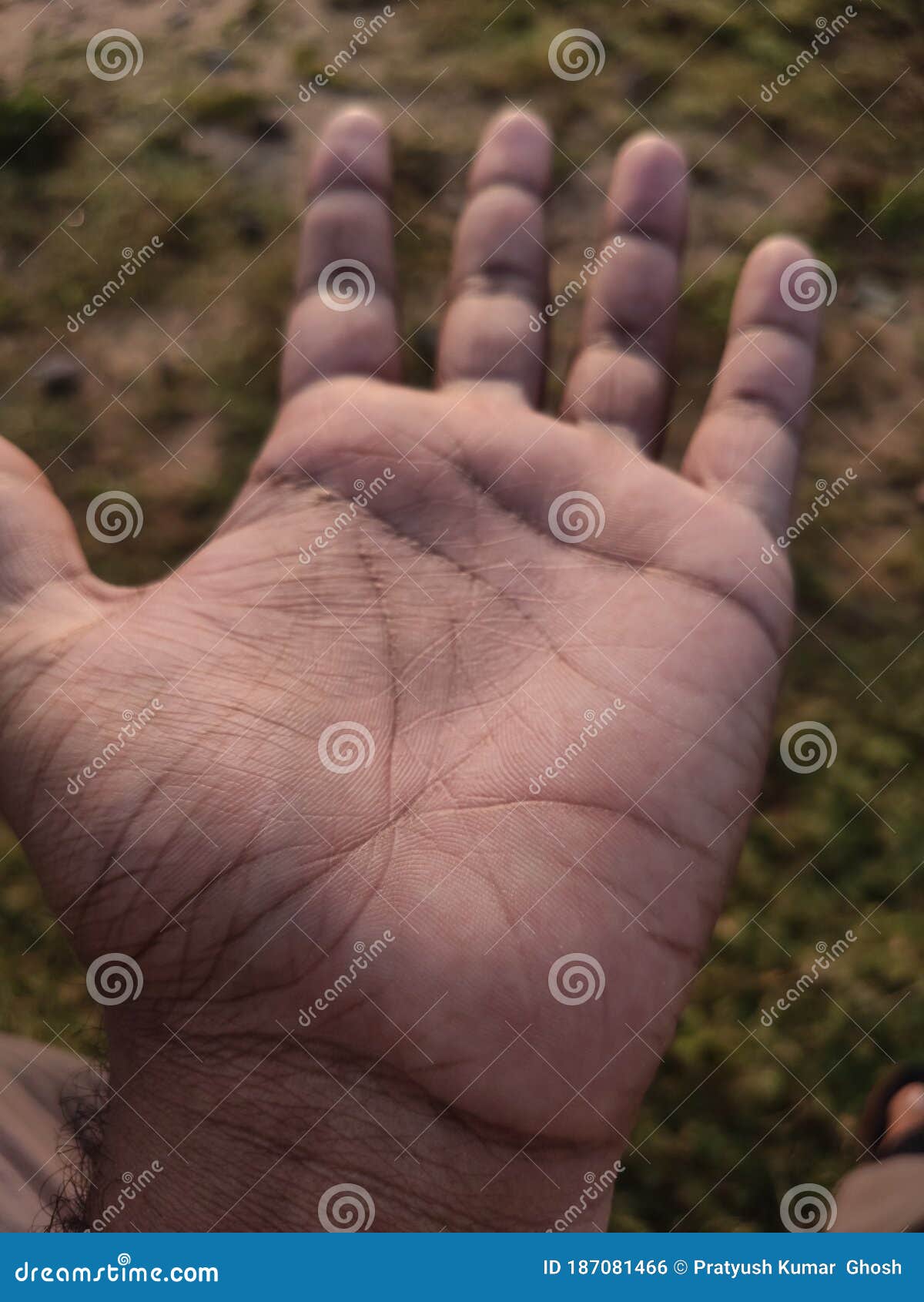 Rough Texture of Hand on a Nature Background Stock Photo - Image of ...