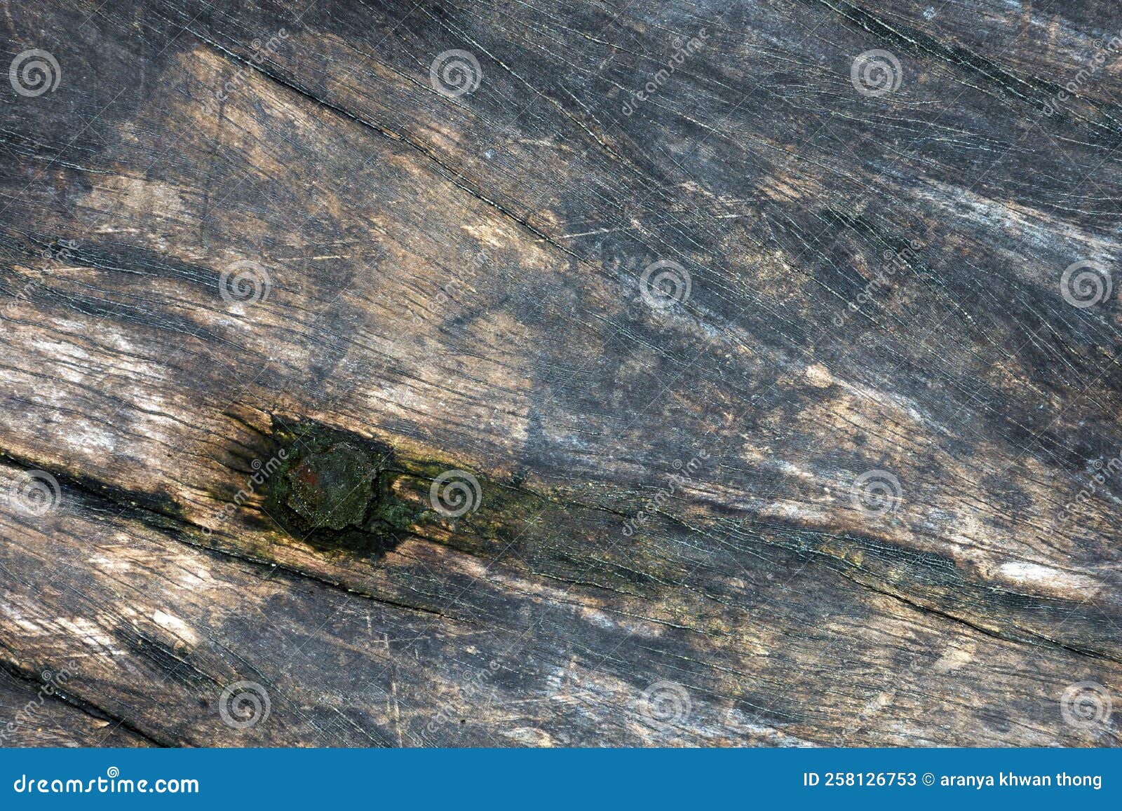 Rough Texture of Old Wood for Background Stock Image - Image of green ...