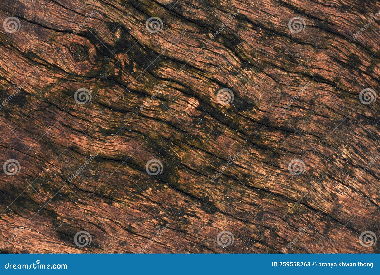 Rough Texture of Old Wood for Background Stock Image - Image of ...