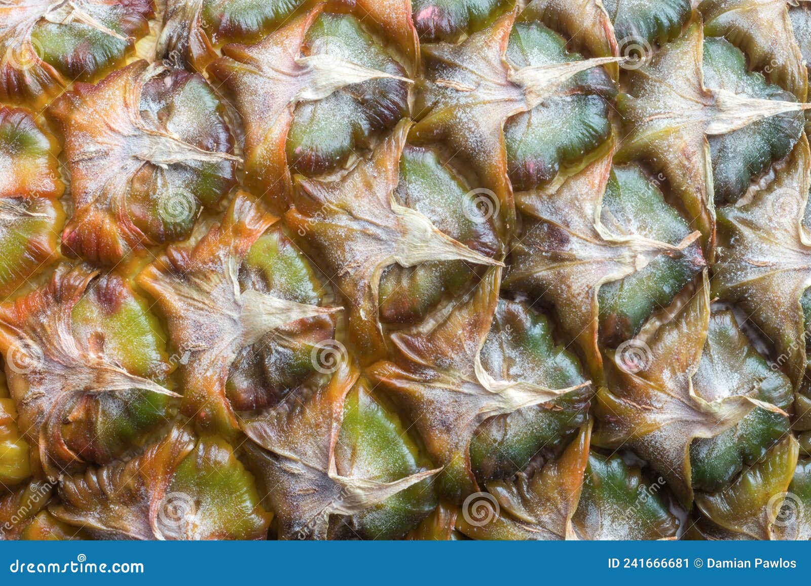 The Rough Texture of Pineapple Skin. Patterned Food Backgroundd Stock ...