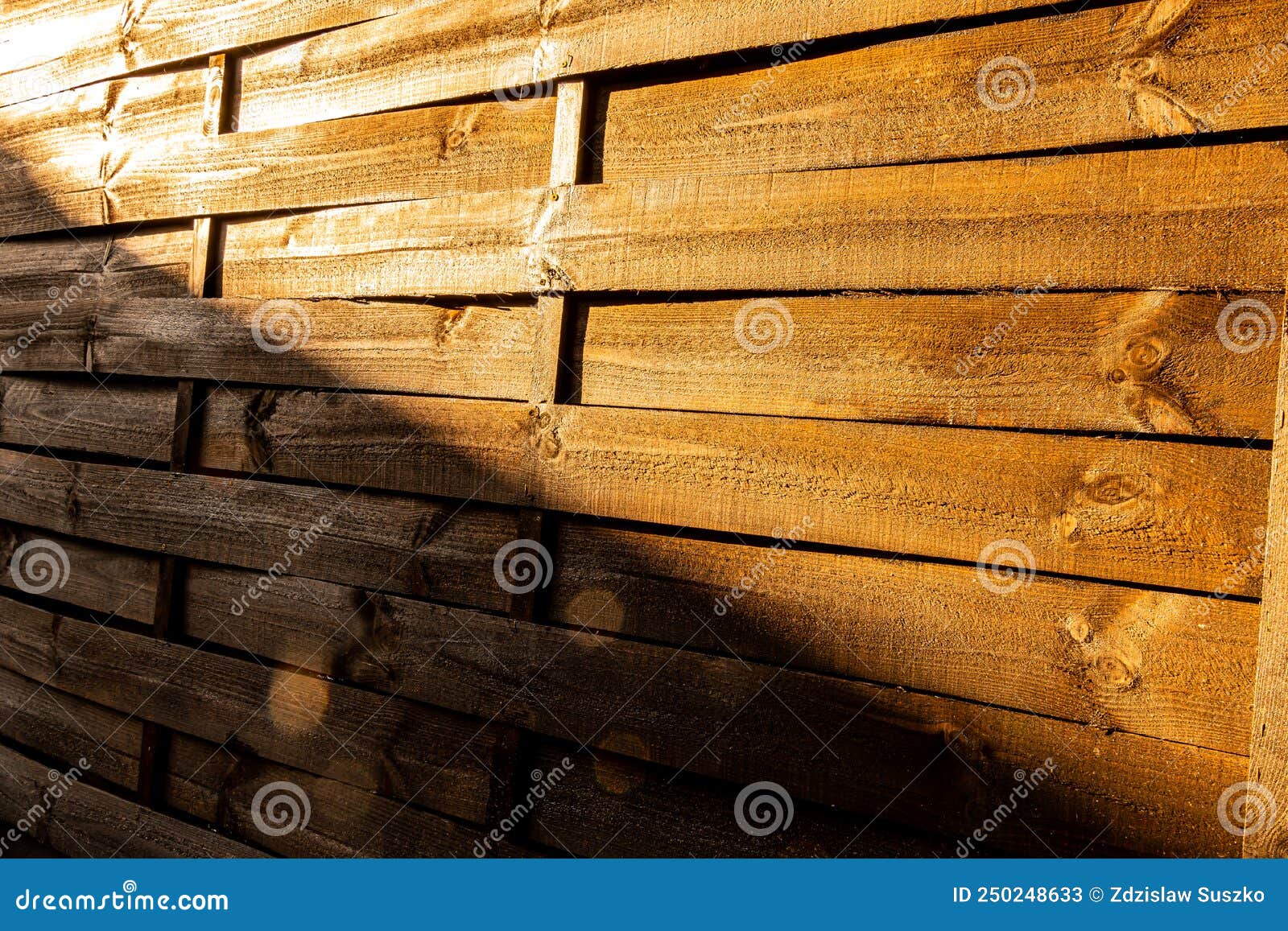 Rough texture stock image. Image of hardwood, natural - 250248633