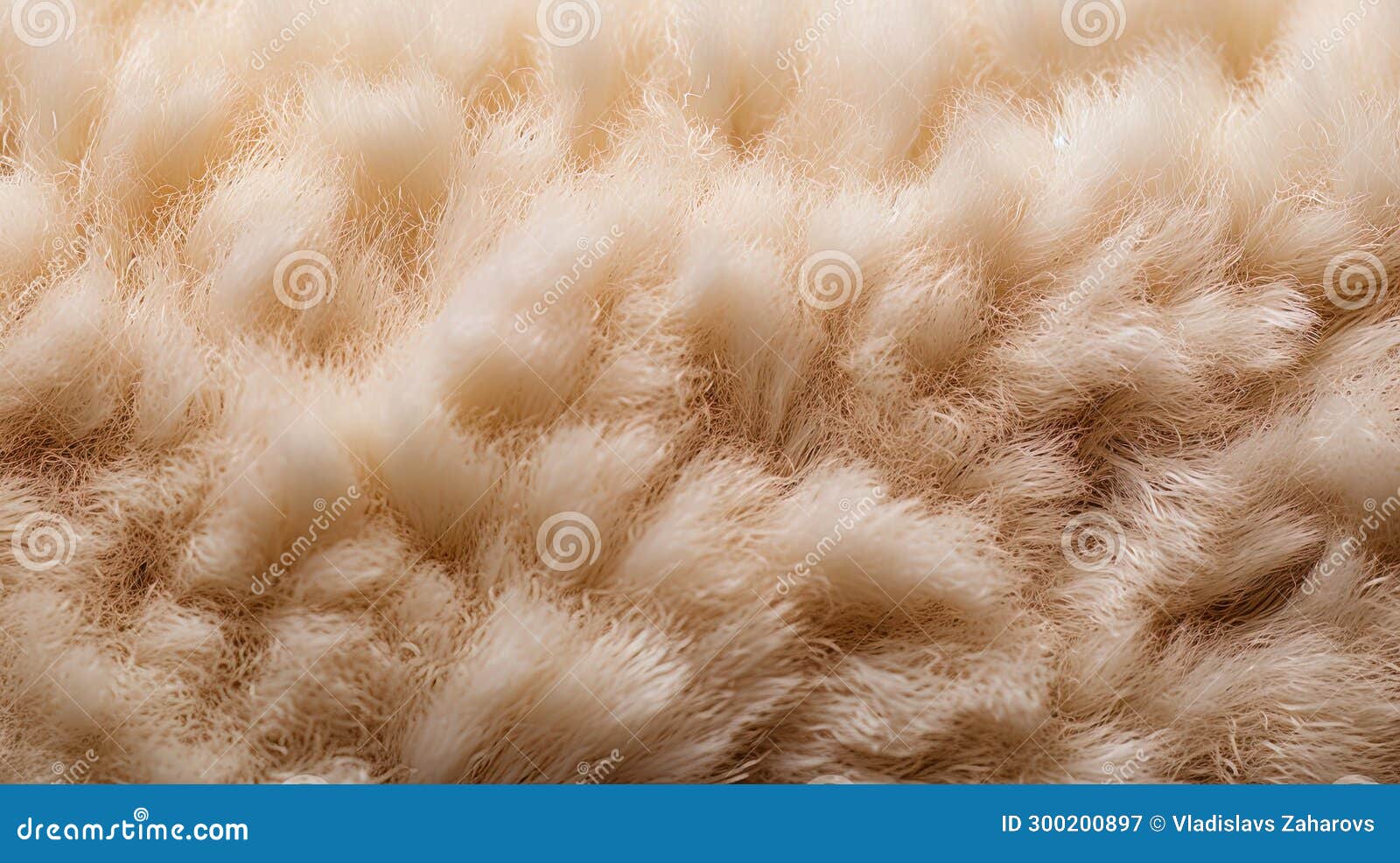 The Rough Texture of Wool with Tiny Villi and Fluffy Coating Stock ...