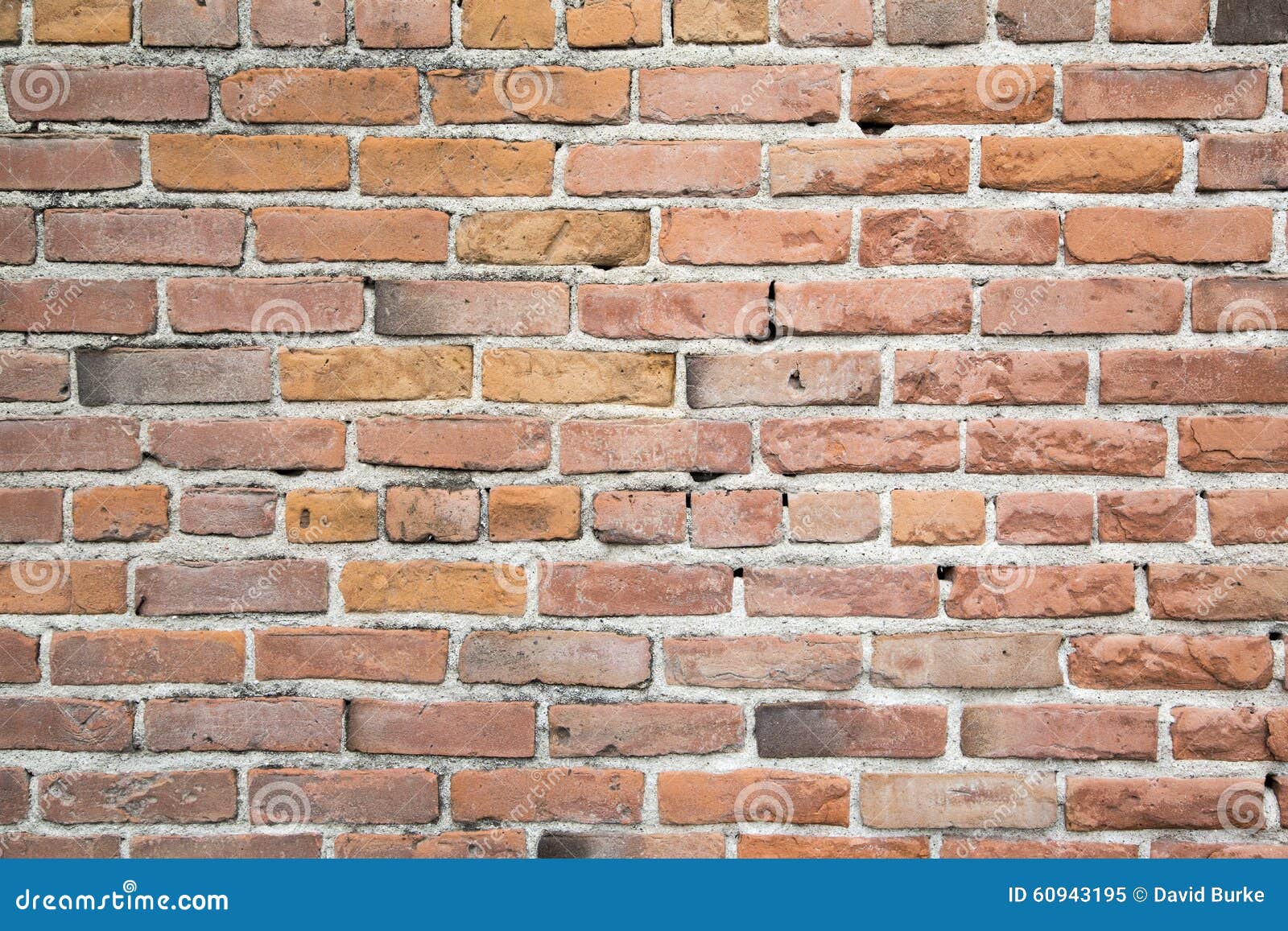 Rough Textured Bricks Illuminated Brick Wall Background Stock Image ...