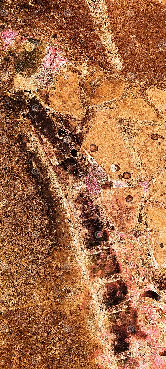 A Rough Textured Brown Coloured Background. Stock Image - Image of ...