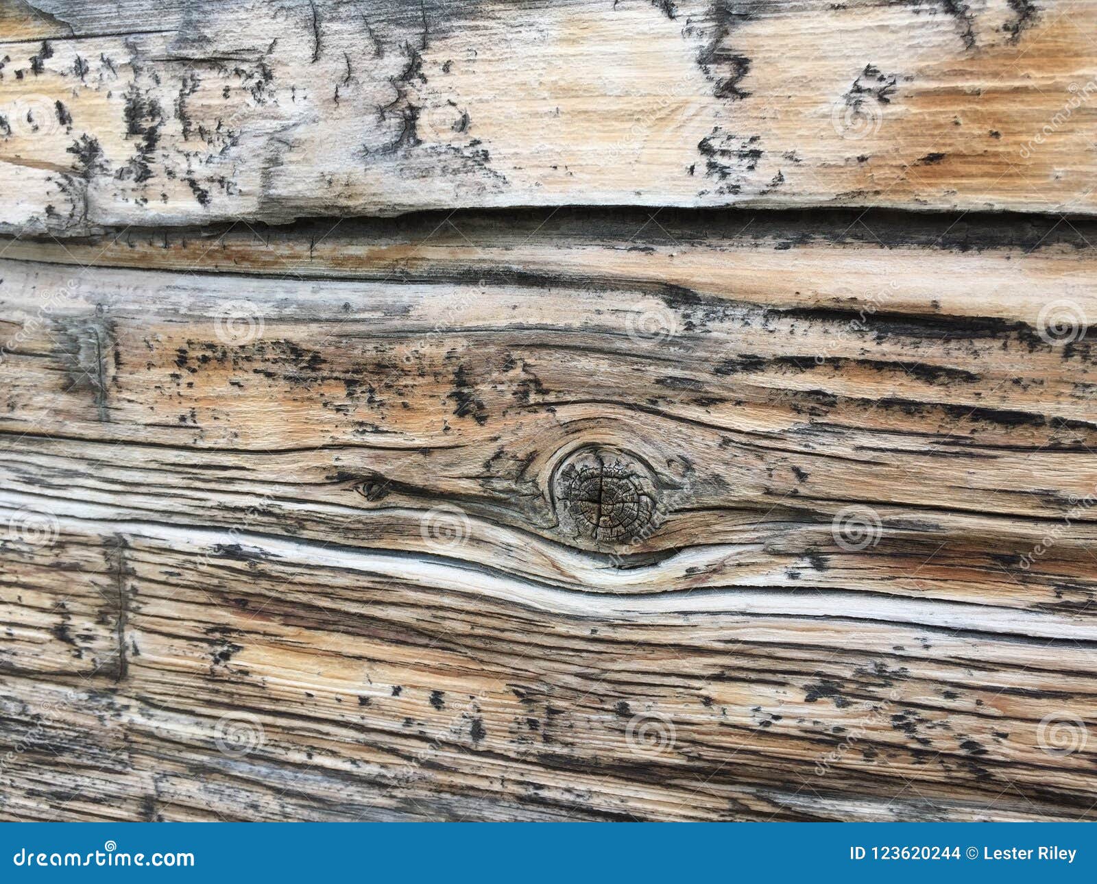 Rough Textured Wood Surface Stock Photo - Image of planked, etched ...