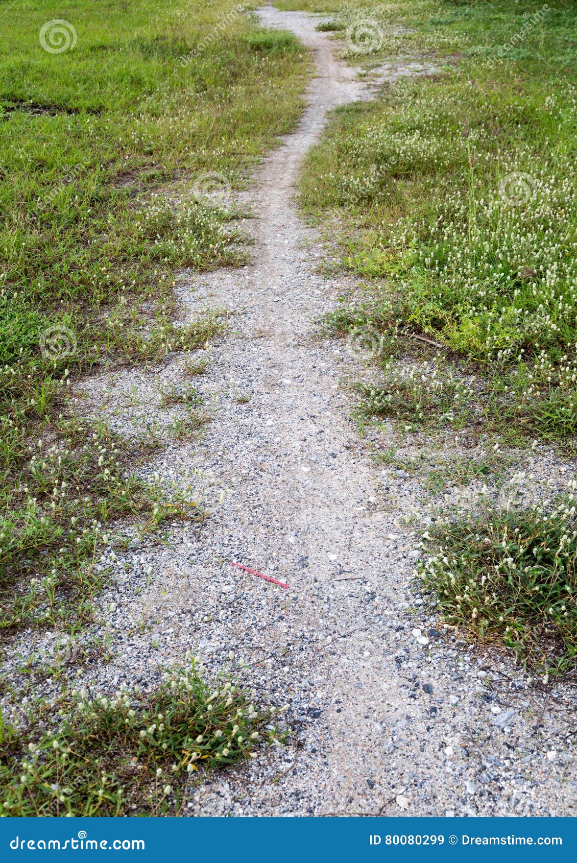 Rough walking path stock image. Image of flower, path - 80080299