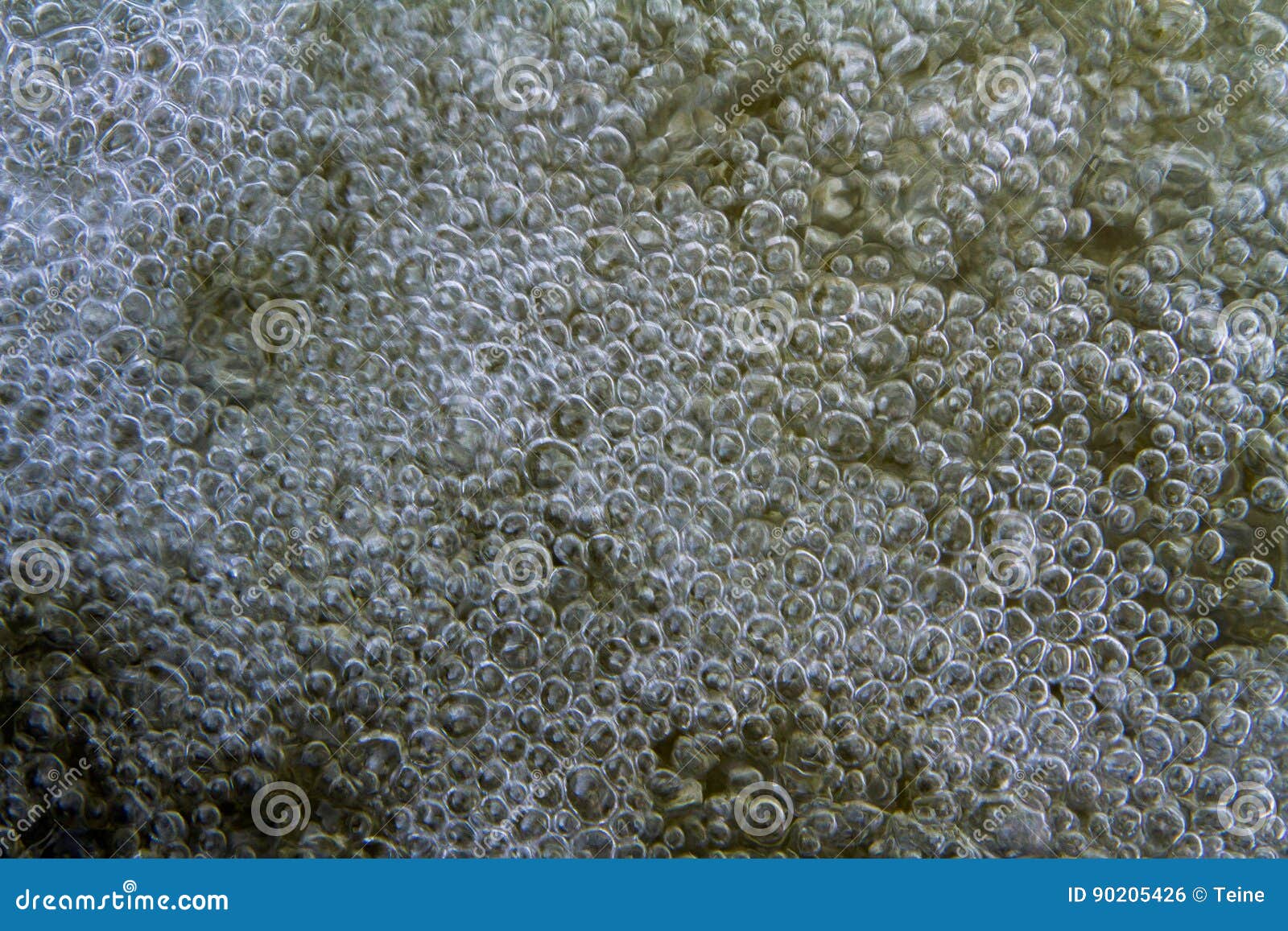 Rough water stock photo. Image of texture, swim, bubble - 90205426