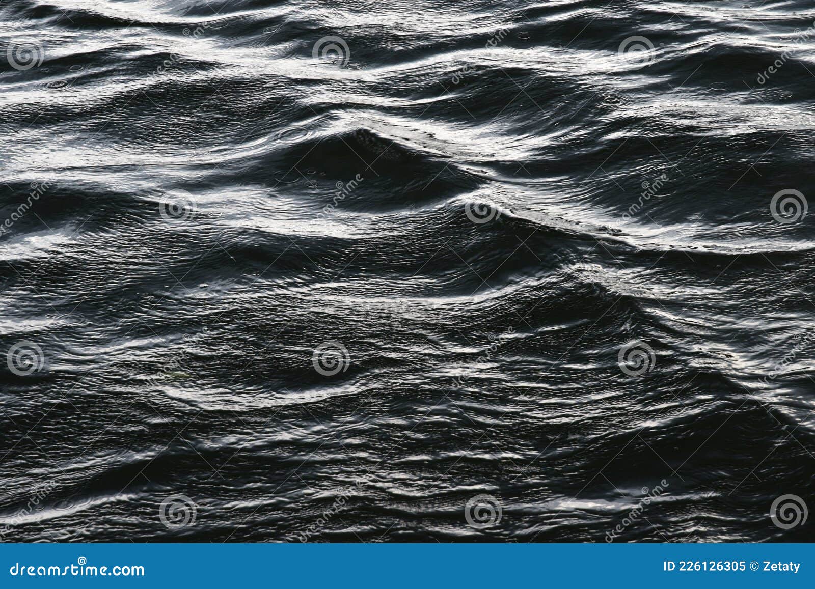 Rough Water on the Lake during a Storm Stock Image - Image of ...