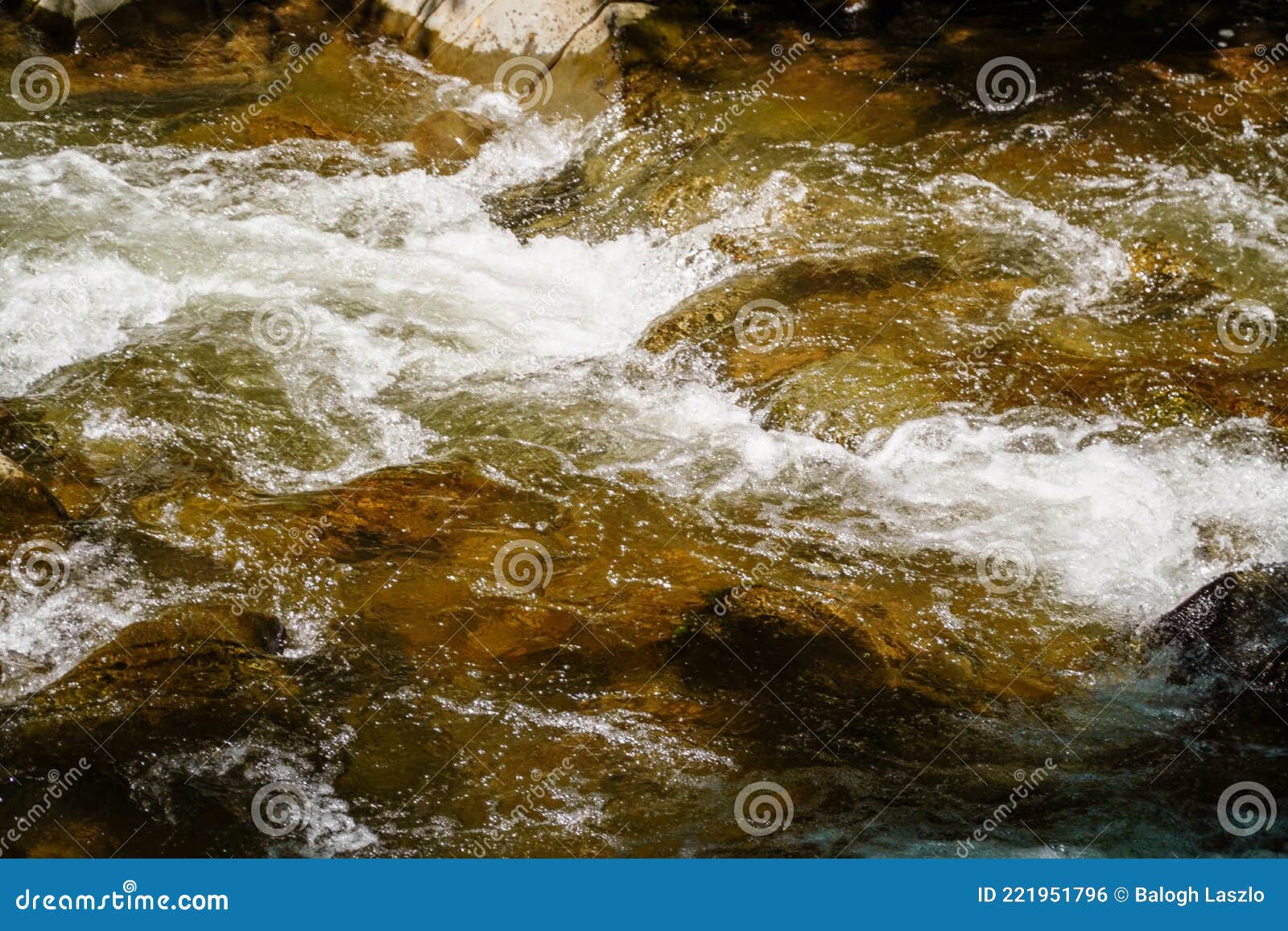 Rough Water in the Mountains, Water Flows Over the Rocks, Forest ...