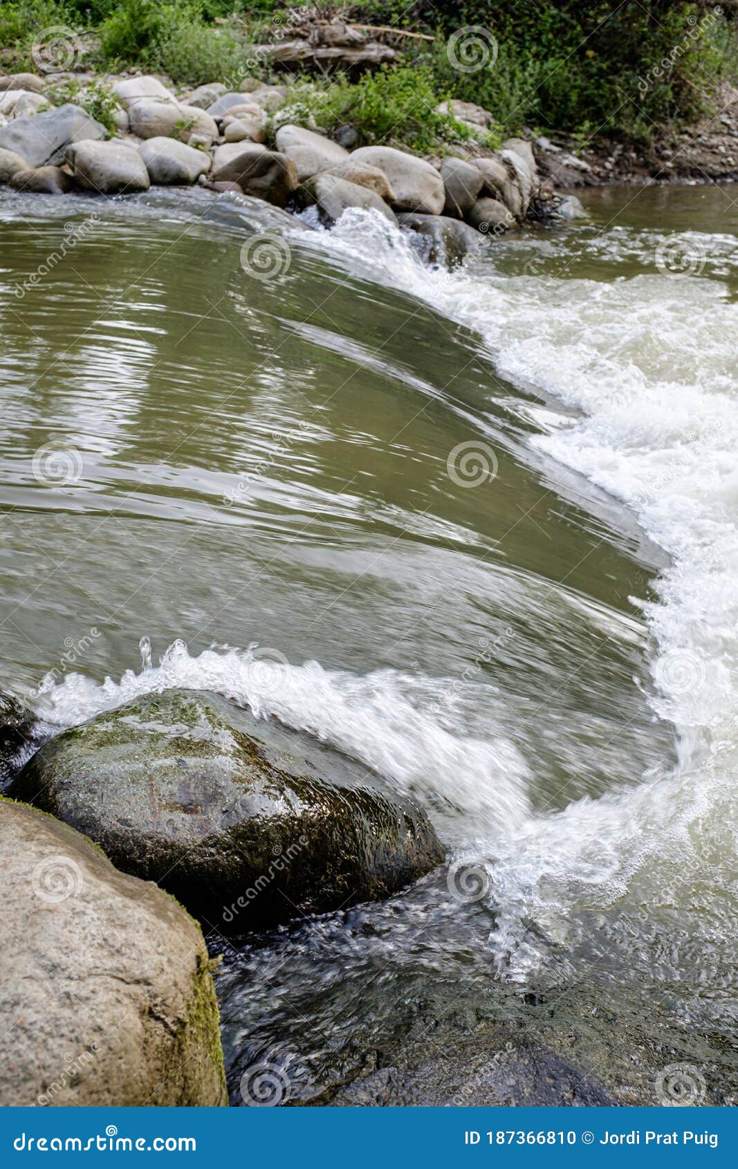 Rough Water River on a Green Forest Dusk Landscape Stock Photo - Image ...