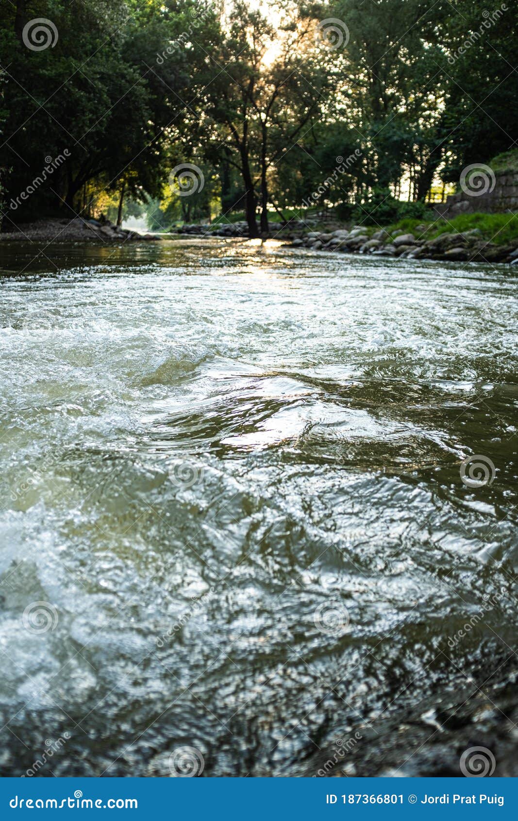Rough Water River on a Green Forest Dusk Landscape Stock Image - Image ...