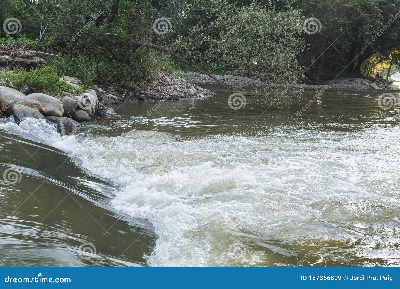 Rough Water River on a Green Forest Dusk Landscape Stock Image - Image ...