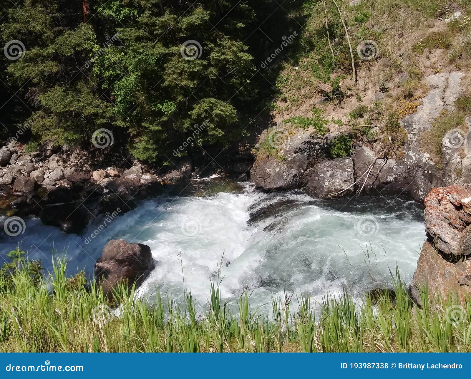 Rough Waters, from a Waterfall! Stock Photo - Image of creek, nature ...