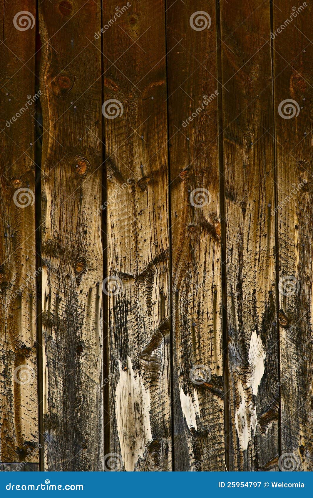 Rough Wood Planks stock image. Image of texture, nails - 25954797