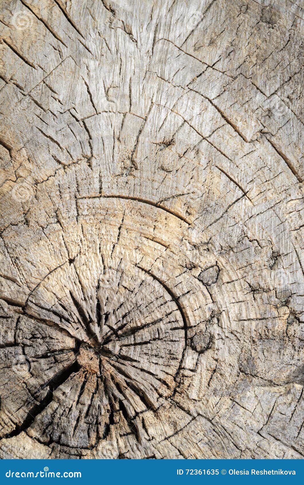 Rough Wood Texture Royalty-Free Stock Photo | CartoonDealer.com #72361635
