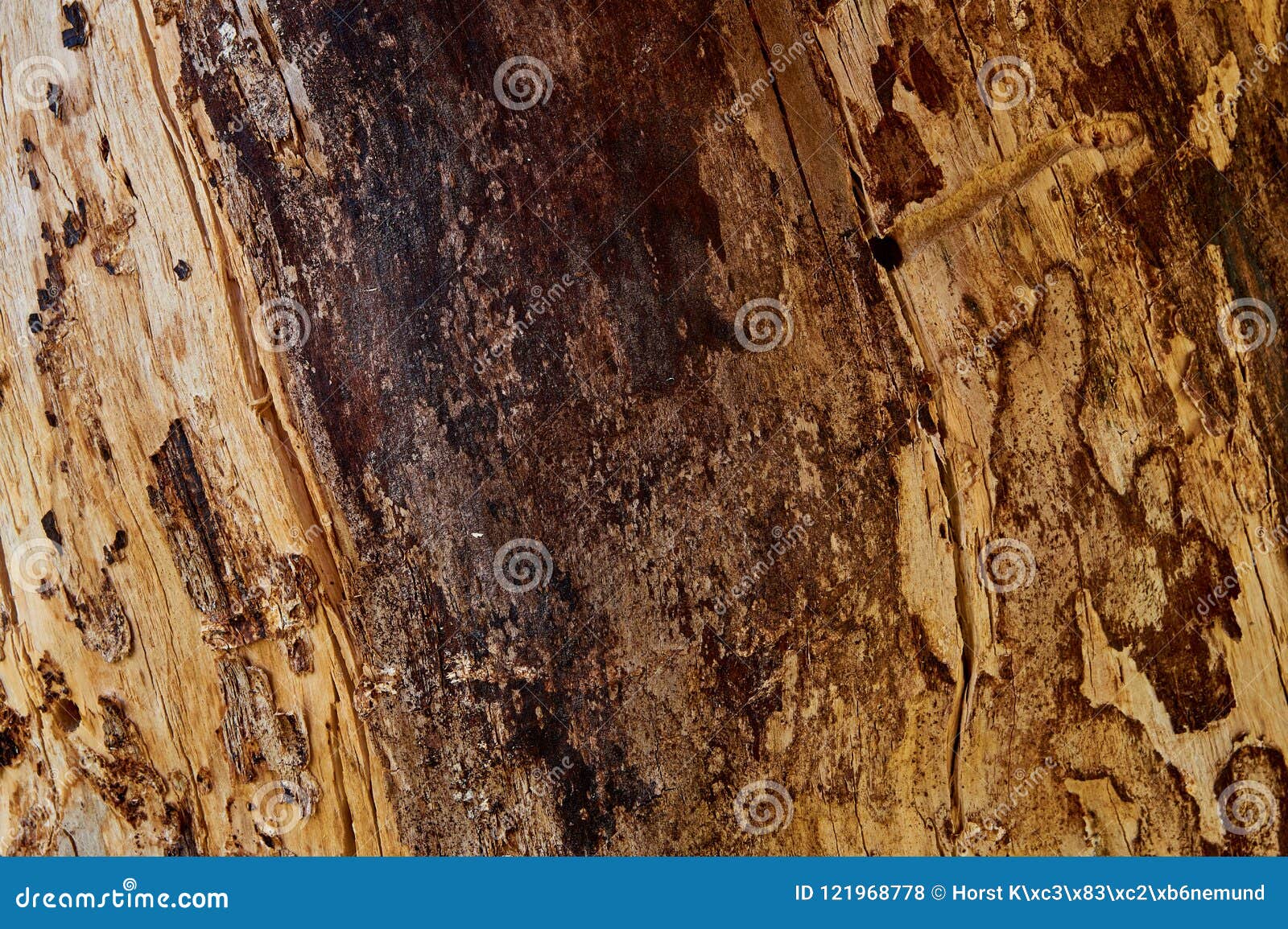Rough Wood Texture with Lines and Creases Stock Photo - Image of timber ...