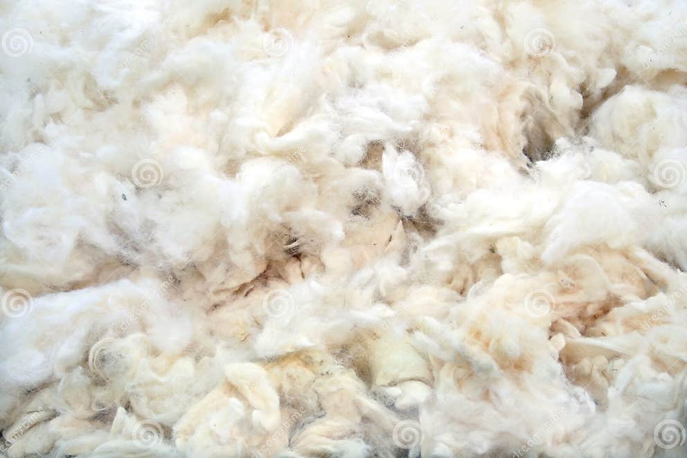 Rough wool stock image. Image of hairs, handicraft, heat - 10695031
