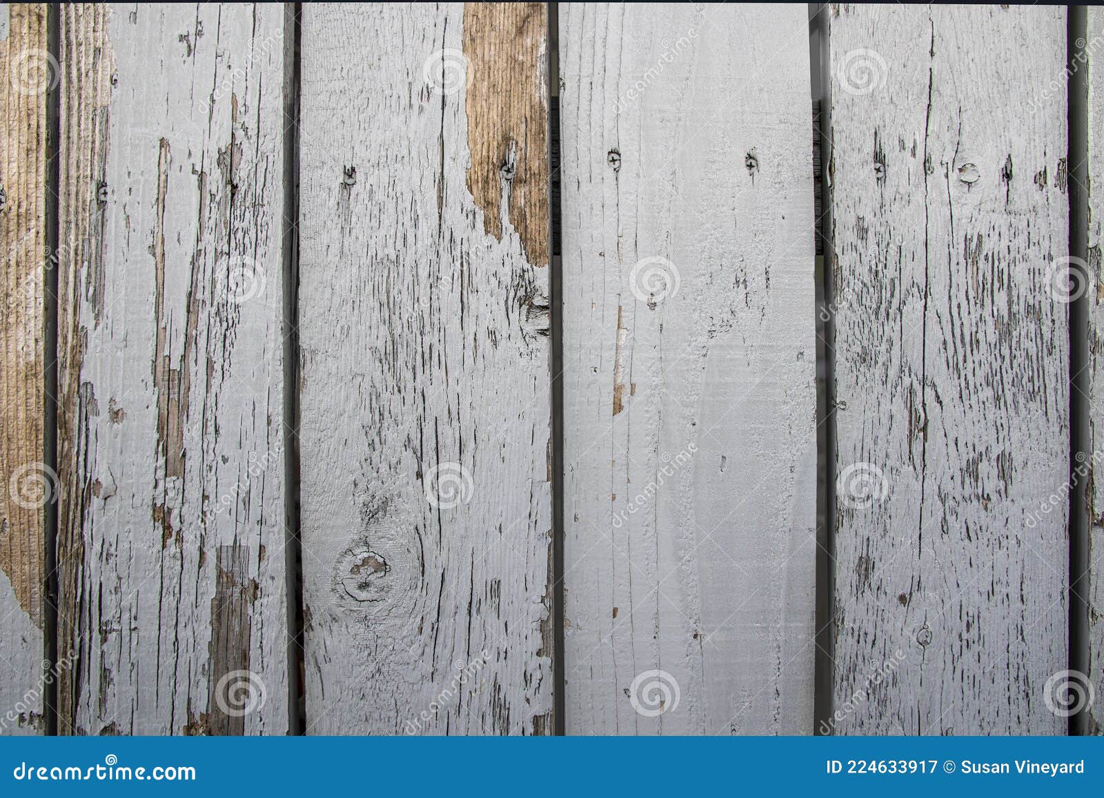 Roughly Whitewashed Rustic Plank Fence with Vertical Boards - Background Stock Image - Image of ...