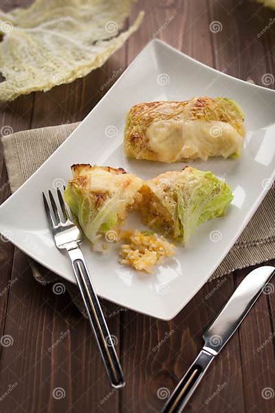 Roulade of Cabbage and Rice Stock Photo - Image of fork, cheese: 28042306