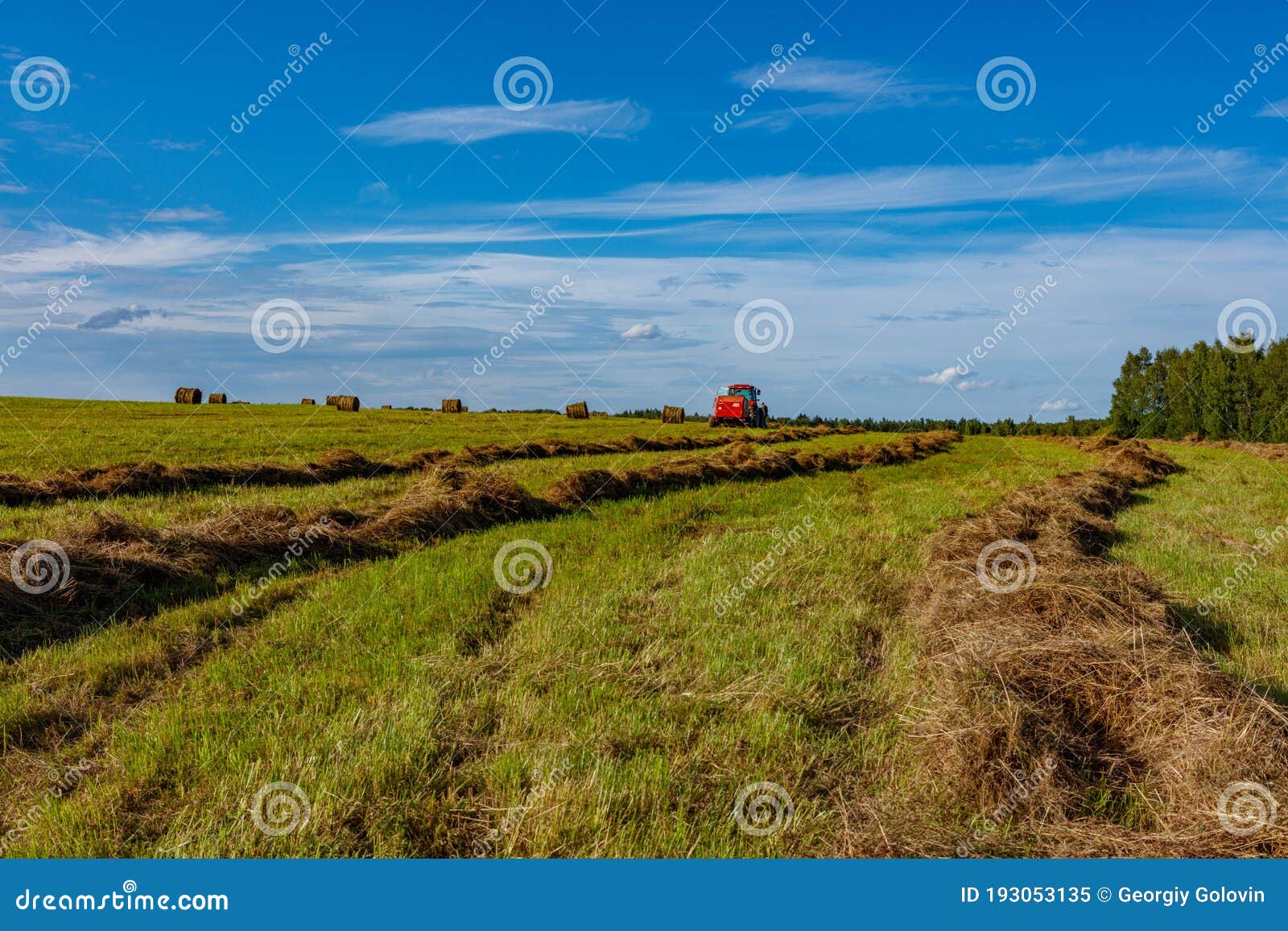 Round Bail of Hay in a Field Stock Image - Image of field, farm: 193053135