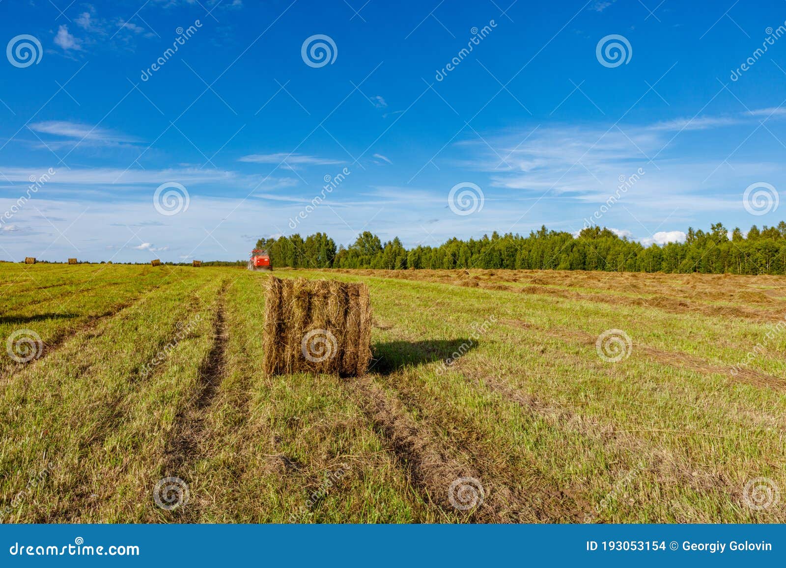 Round Bail of Hay in a Field Stock Photo - Image of farming, land ...