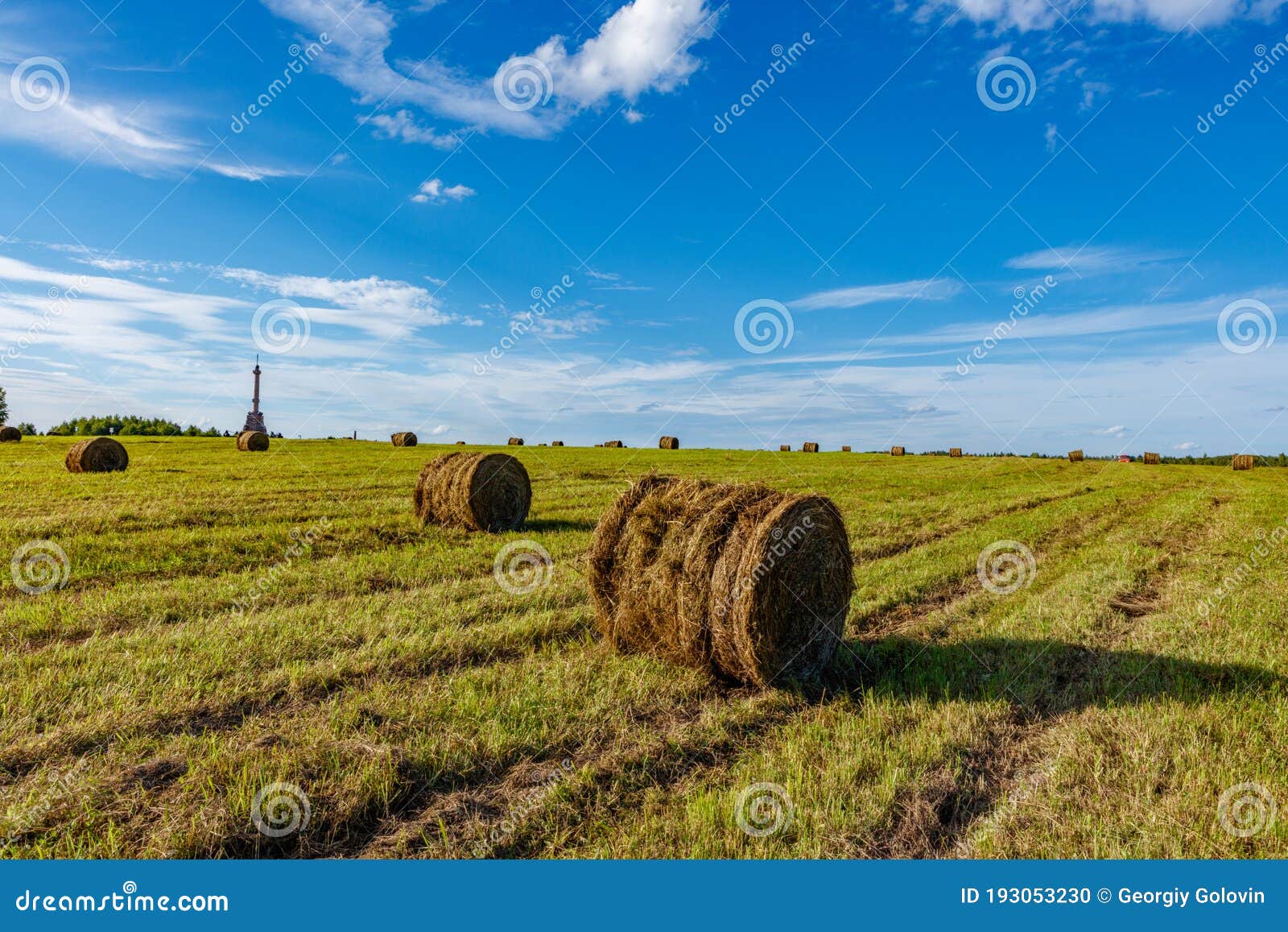Round Bail of Hay in a Field Stock Photo - Image of natural, farming ...