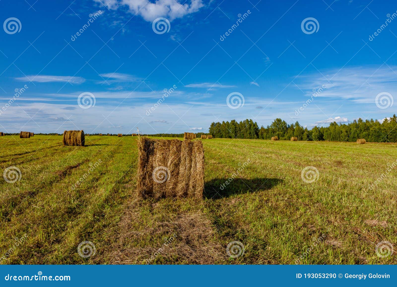 Round Bail of Hay in a Field Stock Photo - Image of haystack, field ...