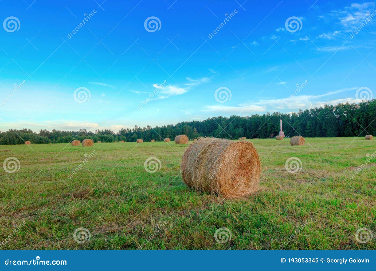 Round Bail of Hay in a Field Stock Image - Image of land, natural ...
