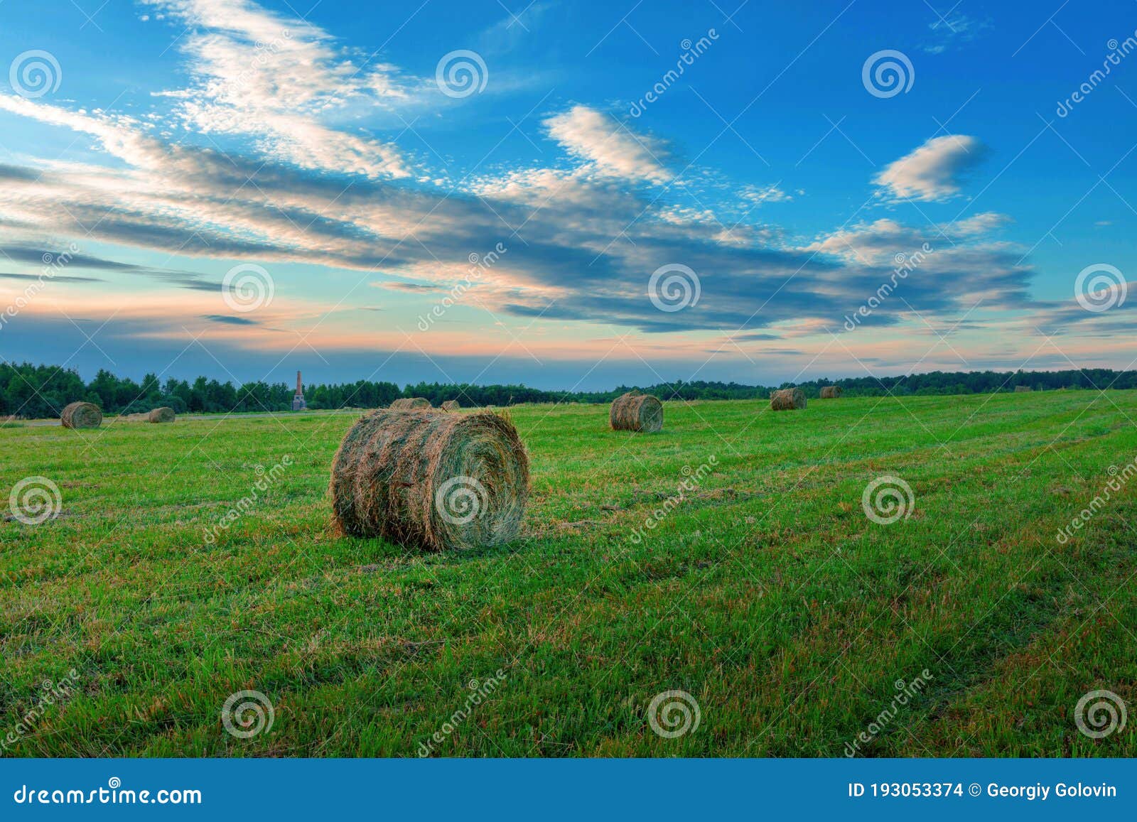 Round Bail of Hay in a Field Stock Photo - Image of circle, blue: 193053374