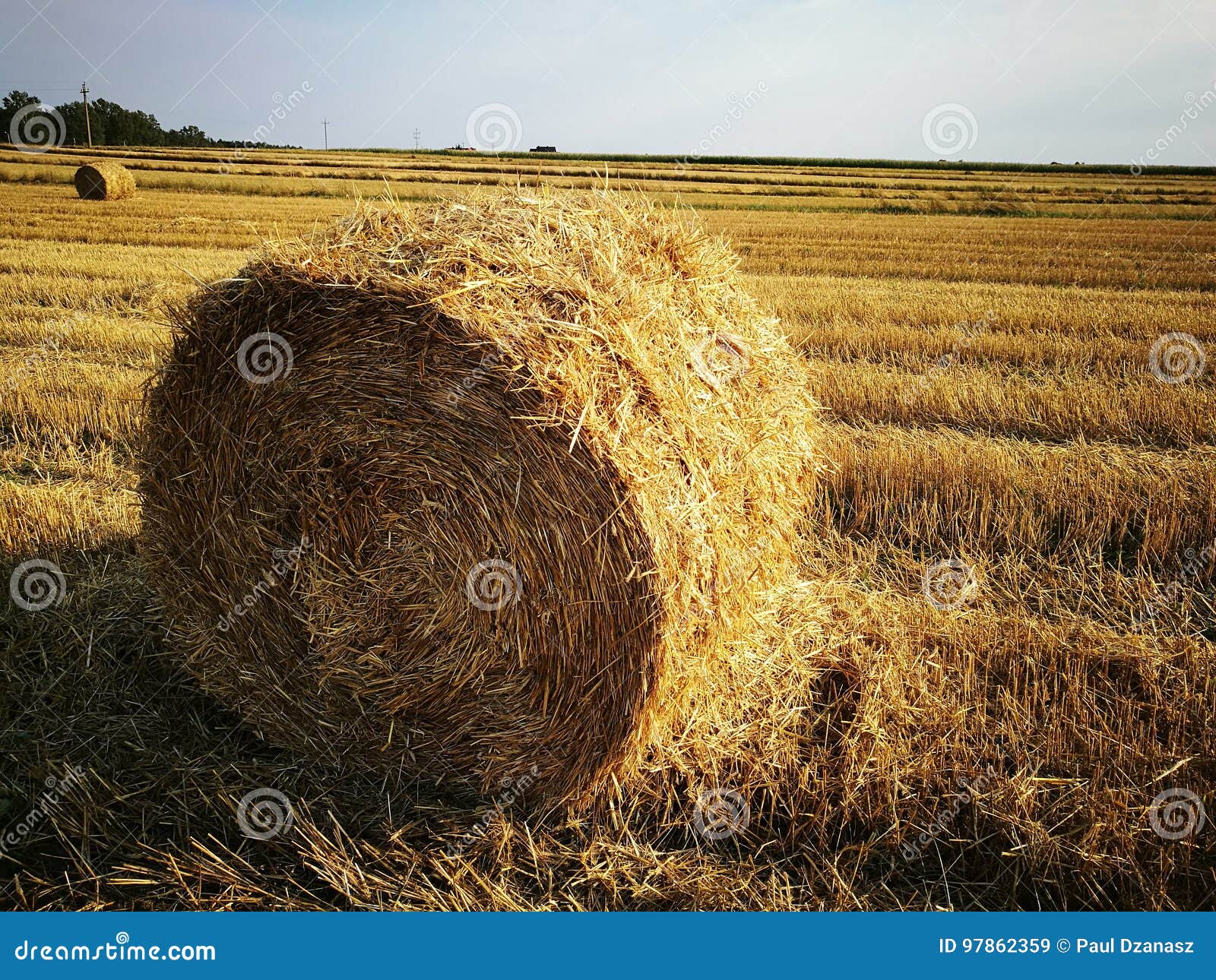 Round bale stock image. Image of field, bale, bales, baler - 97862359